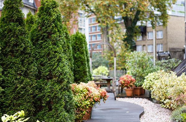 1 bedroom apartment for rent 30-31 Cartwright Gardens Bloomsbury London ...