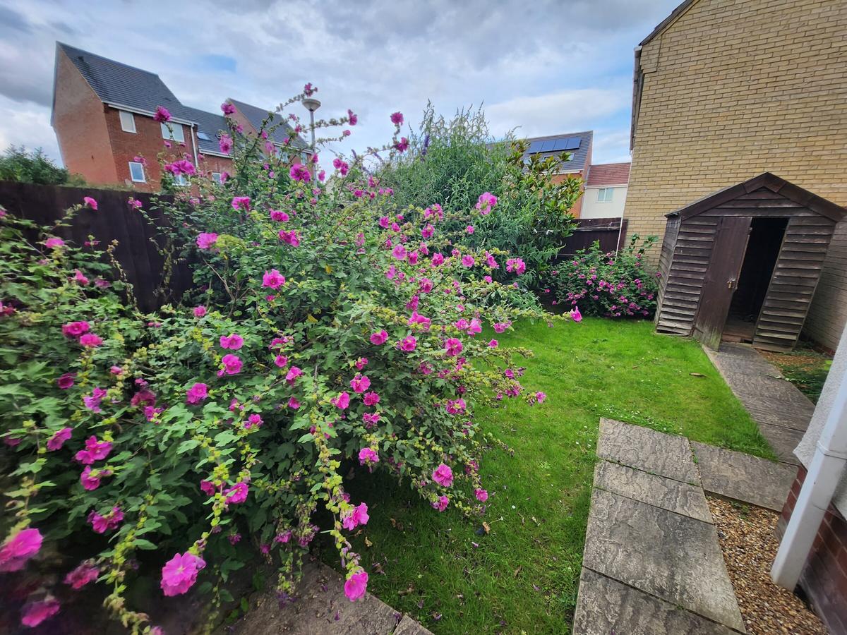 4 bedroom house for rent Tailors Row, Norwich, NR3 2AQ | UniHomes